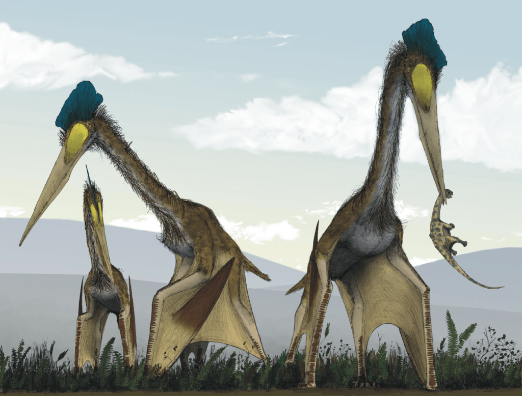 Quetzalcoatlus – The Largest Flying Animal That Ever Existed - Jinzo X