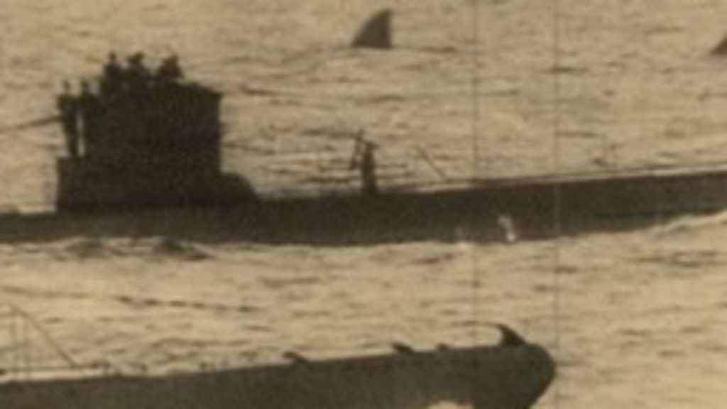 Megalodon Sightings — Are These Sharks Still Alive Today? - Jinzo X